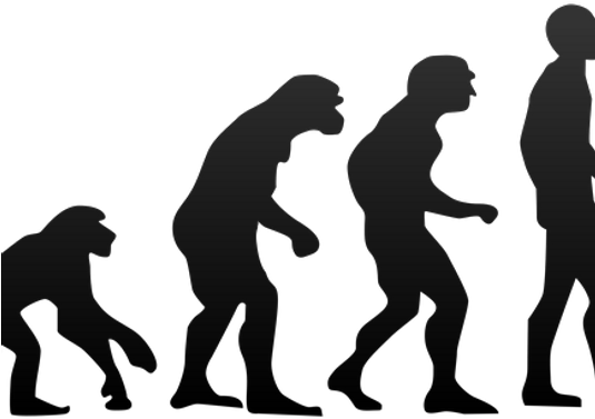 Download HD Evolution Of Humans Transparent PNG Image - NicePNG.com
