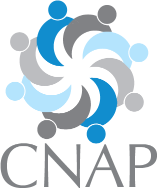 Download HD Cnap Logo - Canada Flag Souvenir Pillow Case Transparent PNG Image - NicePNG.com