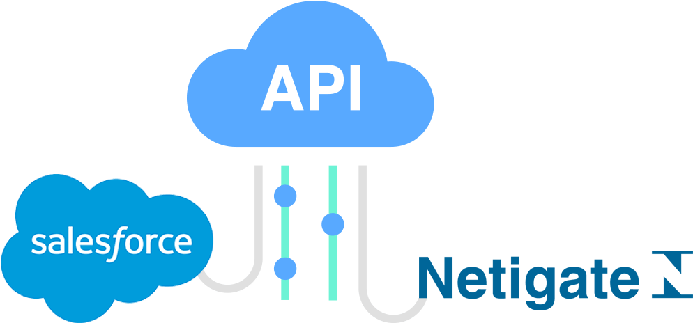 Download Salesforce Netigate Insight Integration - Sign - HD ...