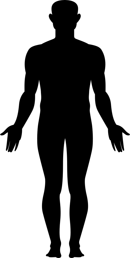 Download HD Whole Body - - Full Body Icon Transparent PNG Image ...