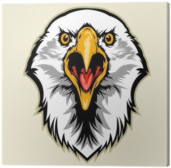 Download Eagle Front View Drawing Head - HD Transparent PNG - NicePNG.com