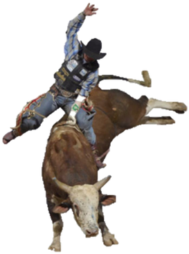 Download Picture - Bull Riding Cut Out - HD Transparent PNG - NicePNG.com