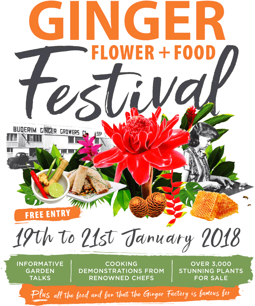 Download HD Ginger Flower Food Festival Logo - Flyer Transparent PNG ...