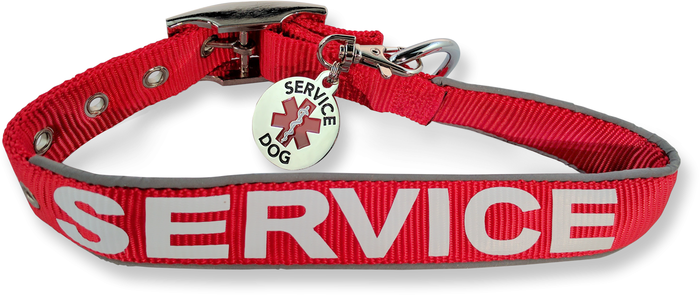 Download HD Service Dog Collar Tag - Dog Transparent PNG Image ...
