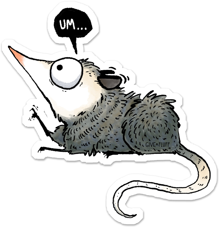 Download HD Opossum Transparent PNG Image - NicePNG.com