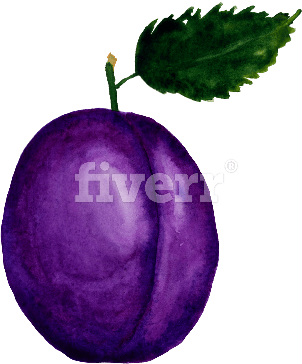 Download HD Damson Transparent PNG Image - NicePNG.com