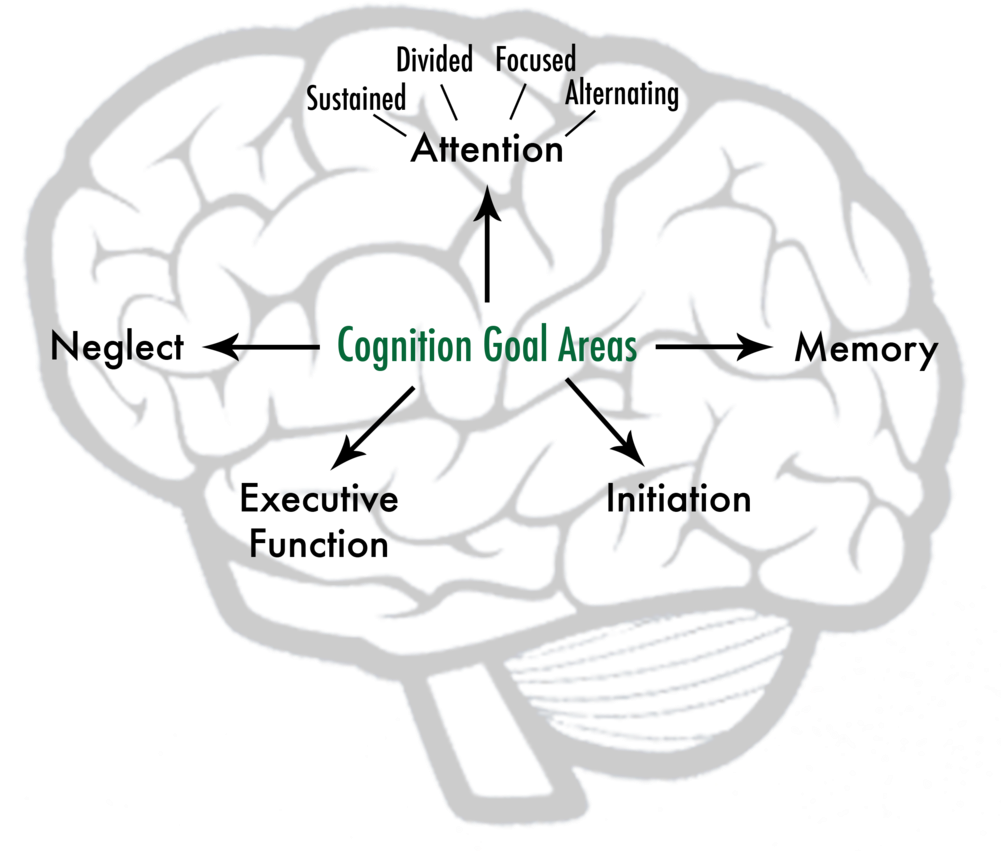 Download HD Cognitiongraphic Website - Diagram Transparent PNG Image ...