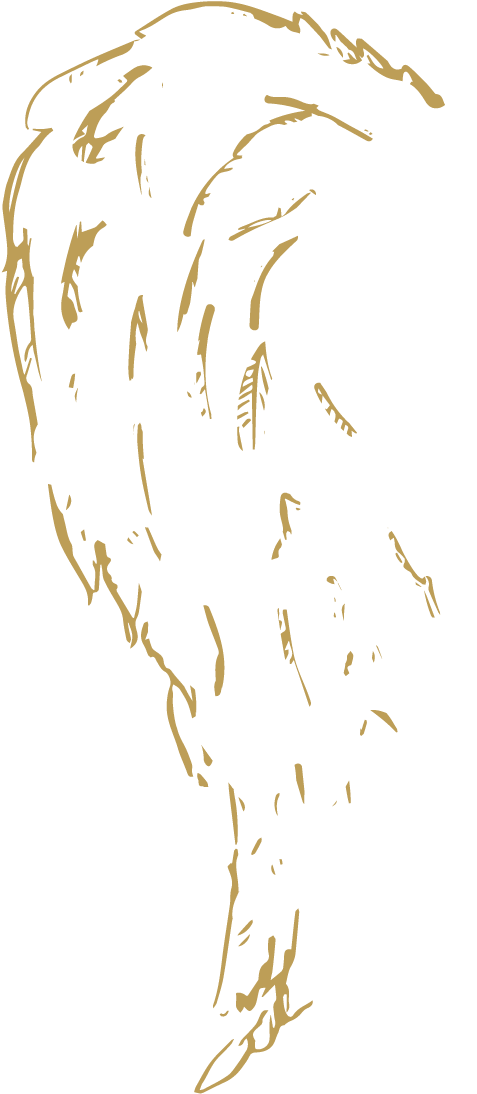 Download HD Who - Illustration Transparent PNG Image - NicePNG.com