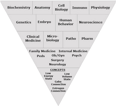 Usmle Triangle - Usmle Step 1 PNG image free download - DWPNG.com