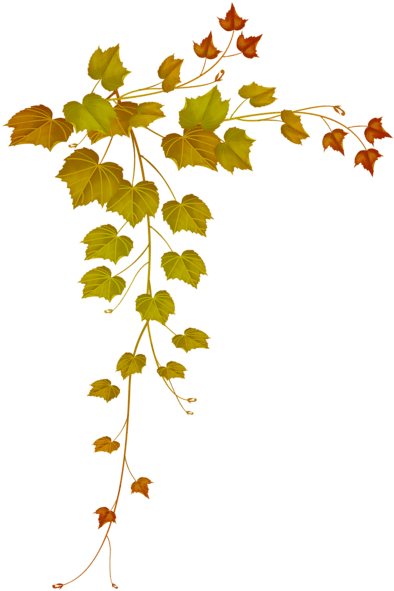 Download Fall Leaves Round Border Frame Png Clip Art Image - Leaf - HD ...