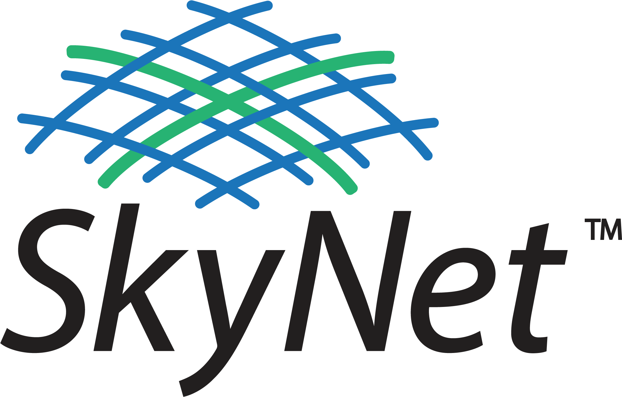 Download HD Skynet Logo - Construction Transparent PNG Image - NicePNG.com