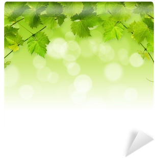 Download HD Gleanings From Philippians & Colossians [book] Transparent ...