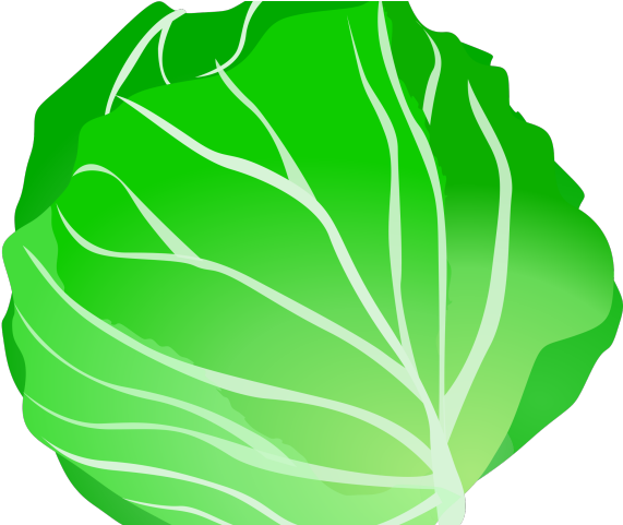 Download HD Lettuce Clipart Repolyo - Green Fruit Clip Art Transparent ...