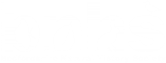 Download HD Bnhs Logo-600x253 - Secret History Of Nursery Rhymes Ebook ...