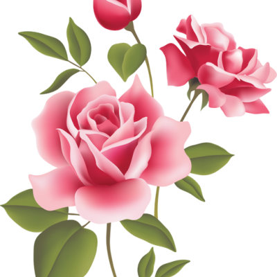 Download Bunga Pink Png - Bunga Mawar Pink Png - HD Transparent PNG ...