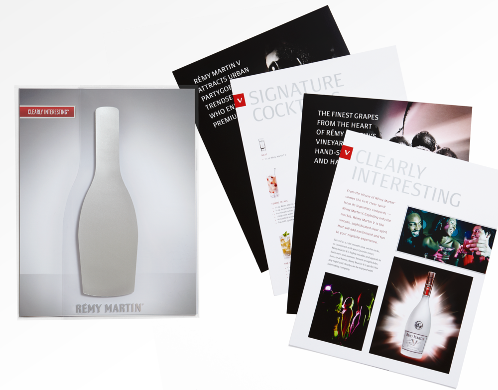 Download HD Remy Kit Overview Transparent PNG Image - NicePNG.com