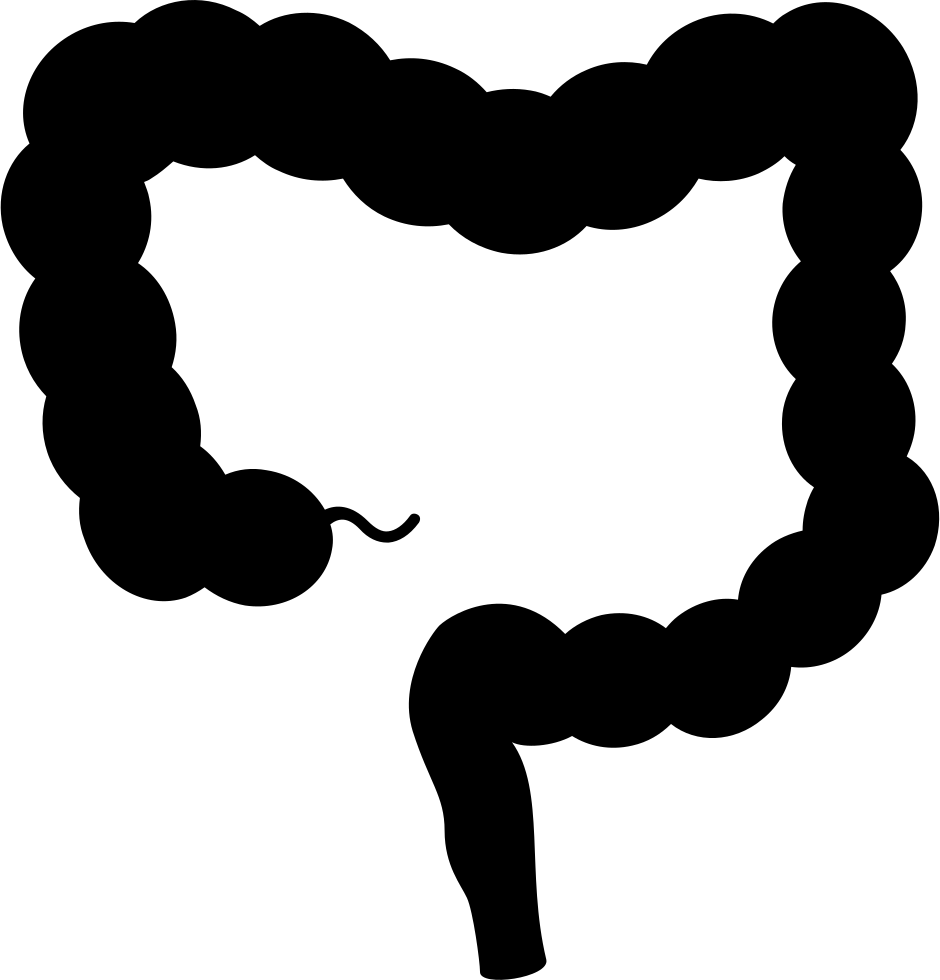 Download Intestine Comments - Large Intestine Graphic Black And White ...