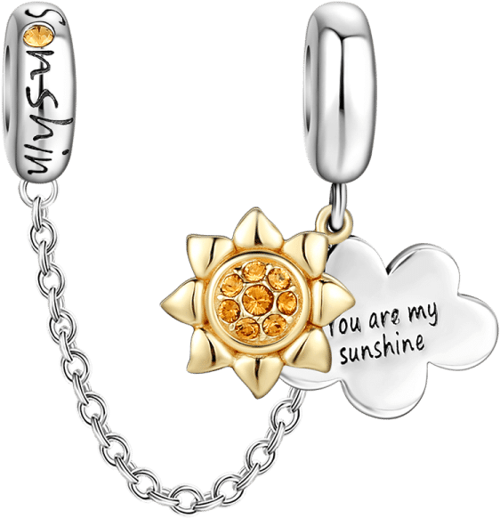 Download HD Stoppers & Safety Chains Charms Soufeel Conch Shells ...