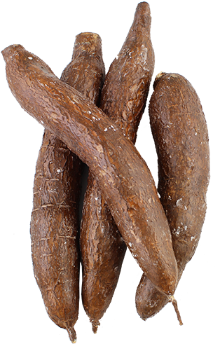 Download HD Yacón Transparent PNG Image - NicePNG.com