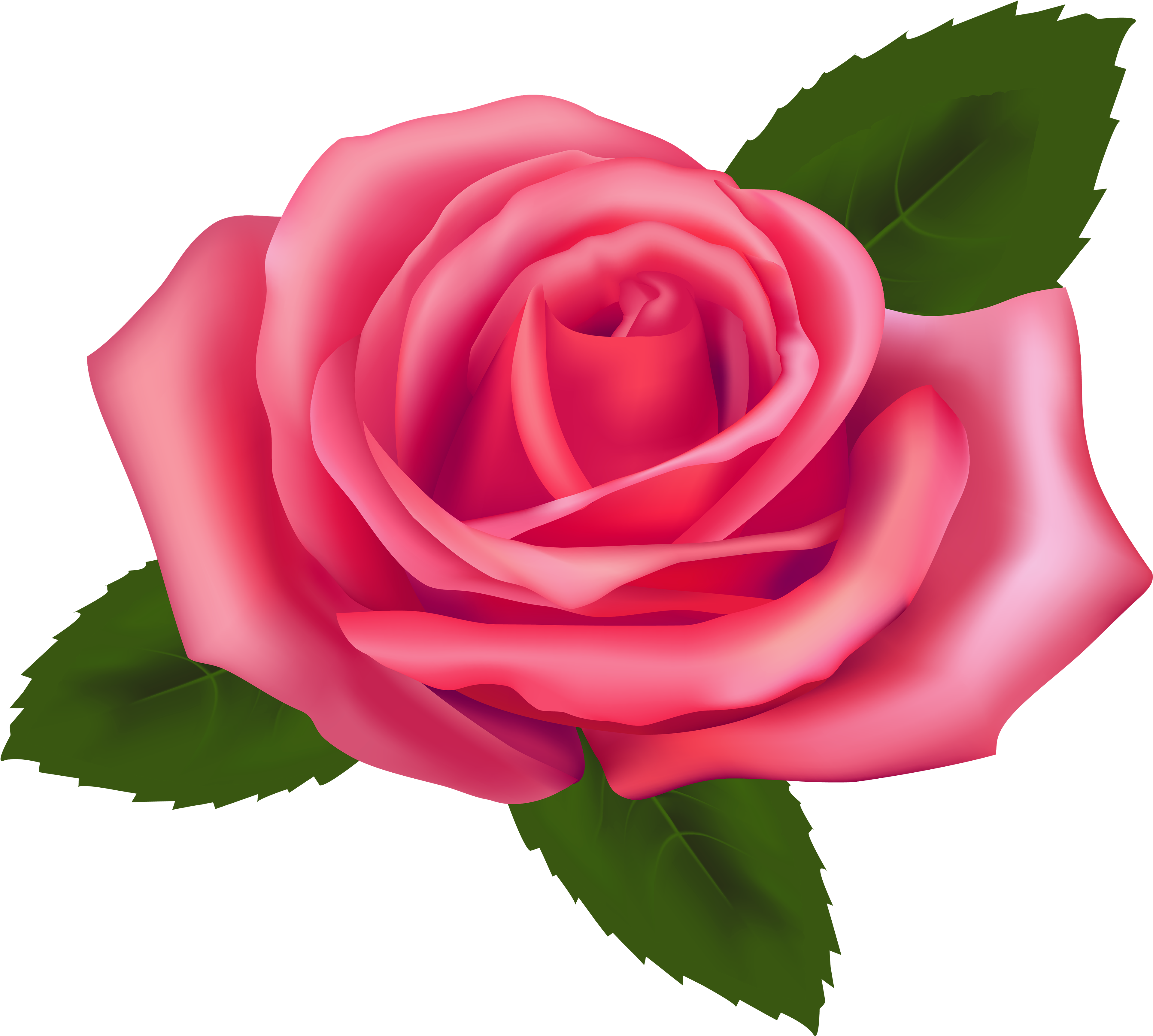Download Beautiful Pink Rose Png Clipart - Clipart Of Pink Rose - HD ...