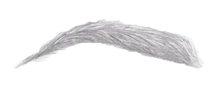 Download HD Shading Brow - White Eyebrows Transparent Png Transparent ...