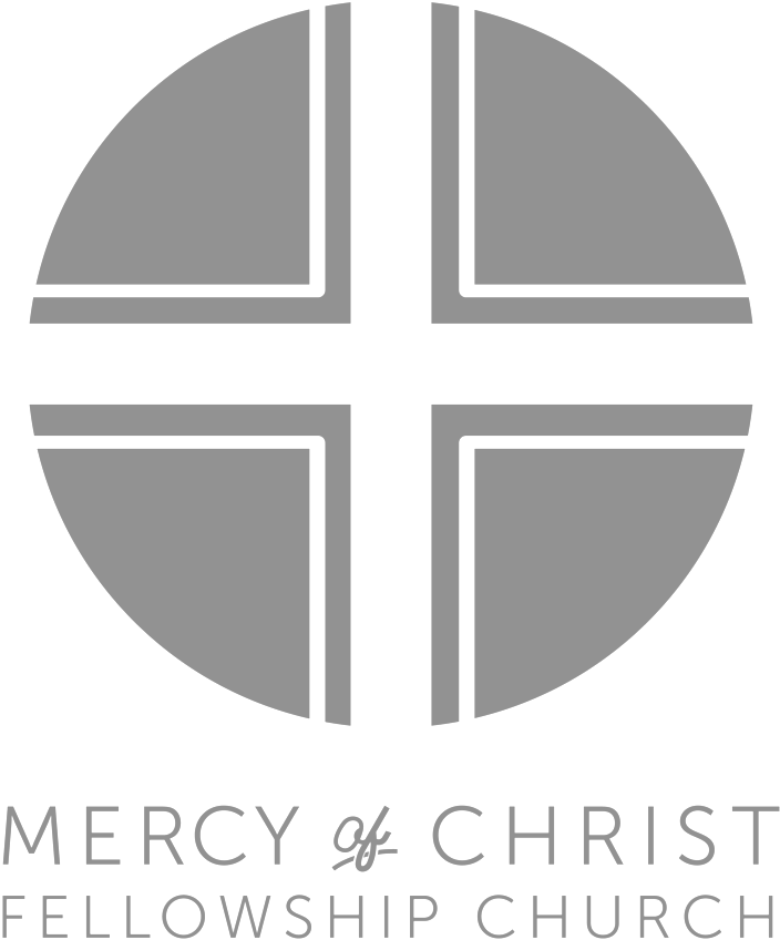 Download HD Mercy Logo Stacked 01 - Mercy Transparent PNG Image ...