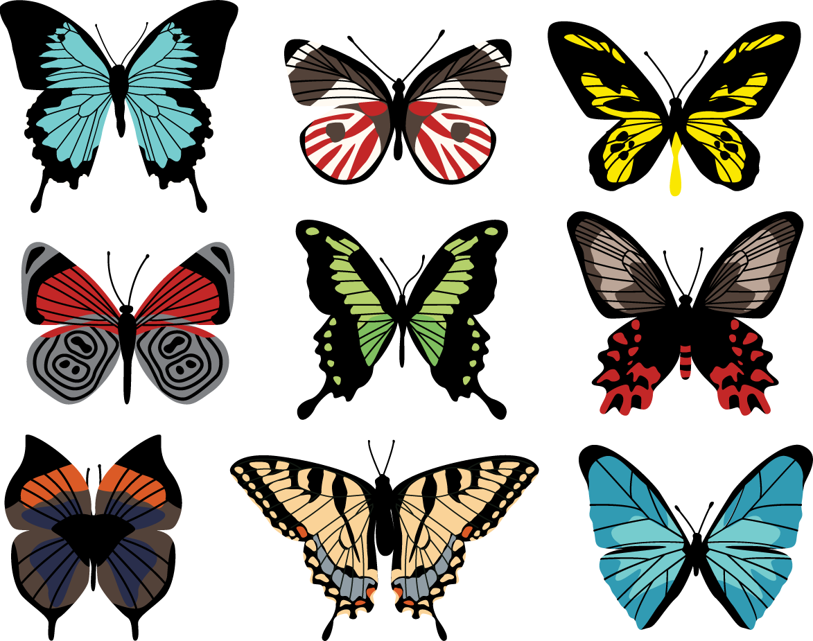 Download HD Butterflies - Butterfly Vectors Transparent PNG Image ...