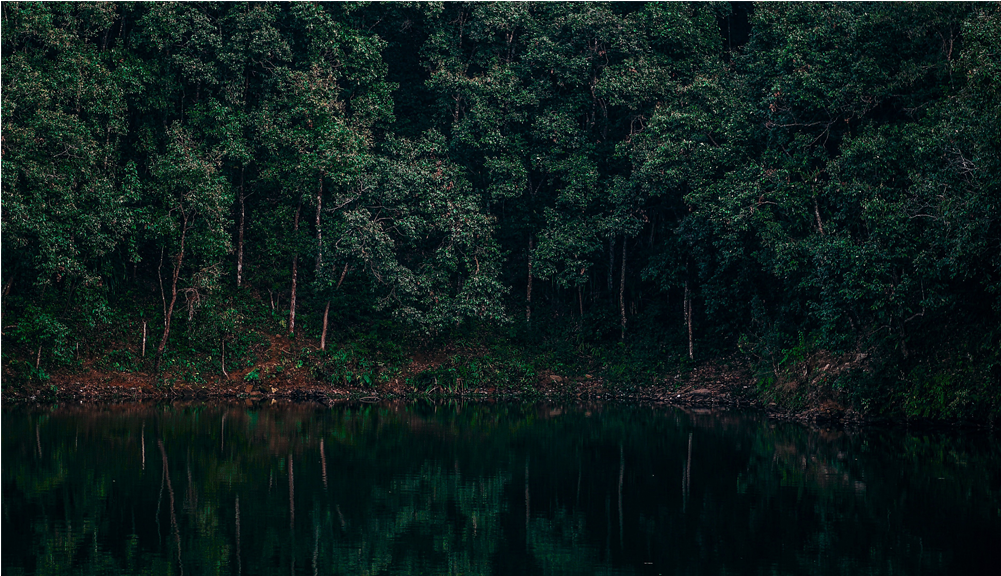 Download Dark Forest Lake - HD Transparent PNG - NicePNG.com