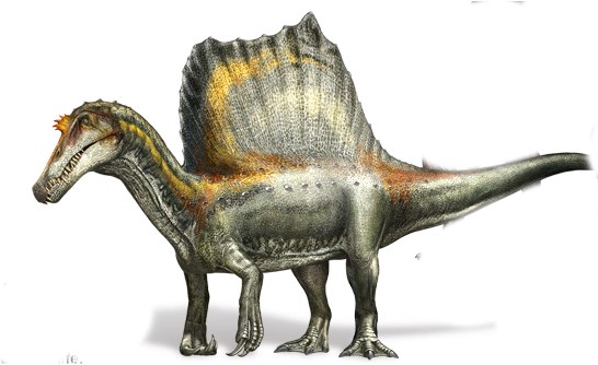 Download Spinosaurus Four Legs - New Spinosaurus - HD Transparent PNG ...