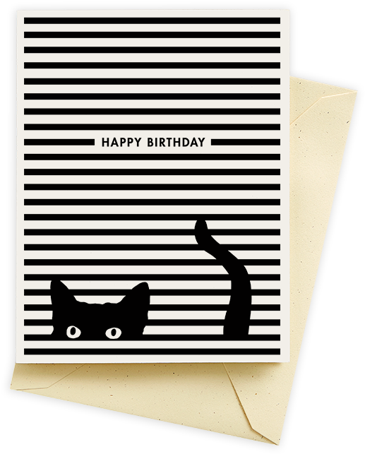 Download HD Cat Stripe Thank You Notecards - 12 Folded Notes And ...