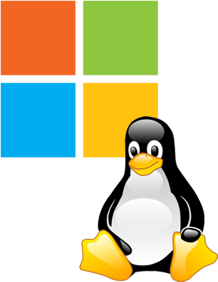 Download Linux Logo Png - Linux And Windows Logo - HD Transparent PNG ...
