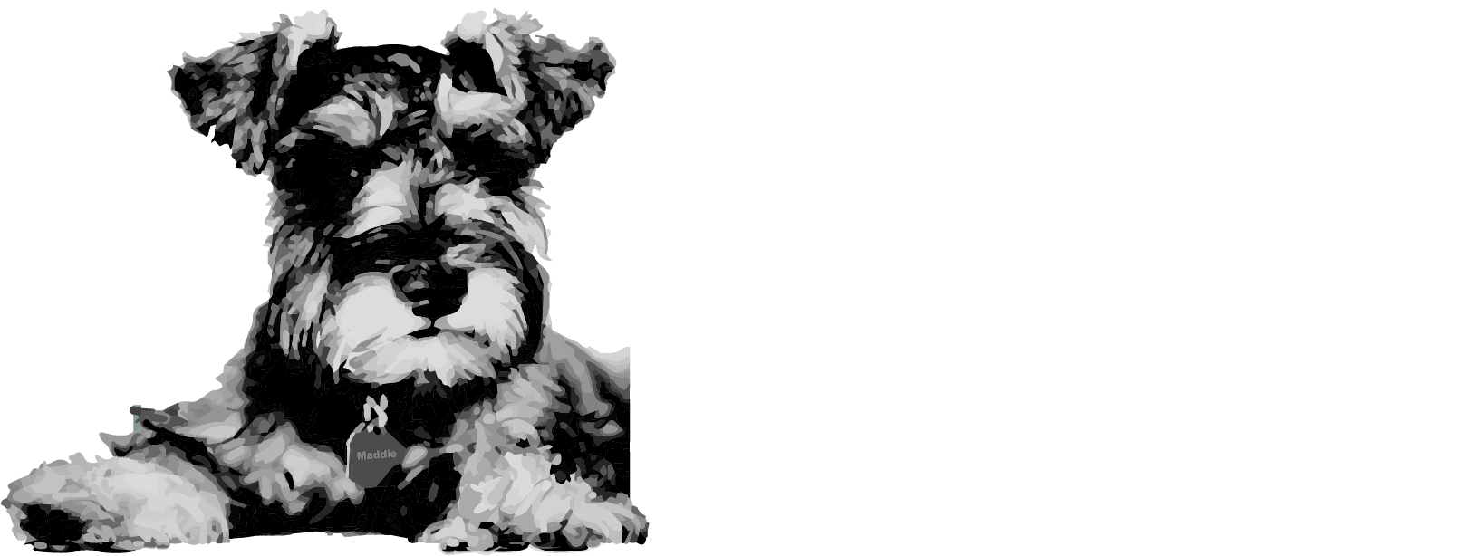 Download HD High Resolution Png - Logo De Schnauzer Transparent PNG ...