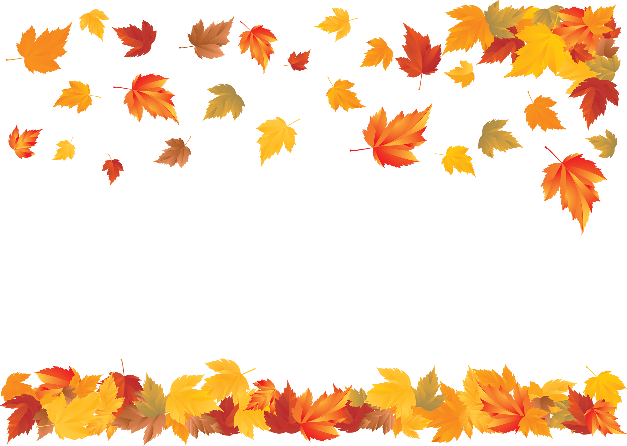 Download HD A Carpet Of Falling Leaves Transparent Background Autumn Download HD A Carpet Of Falling Leaves Transparent Background Autumn