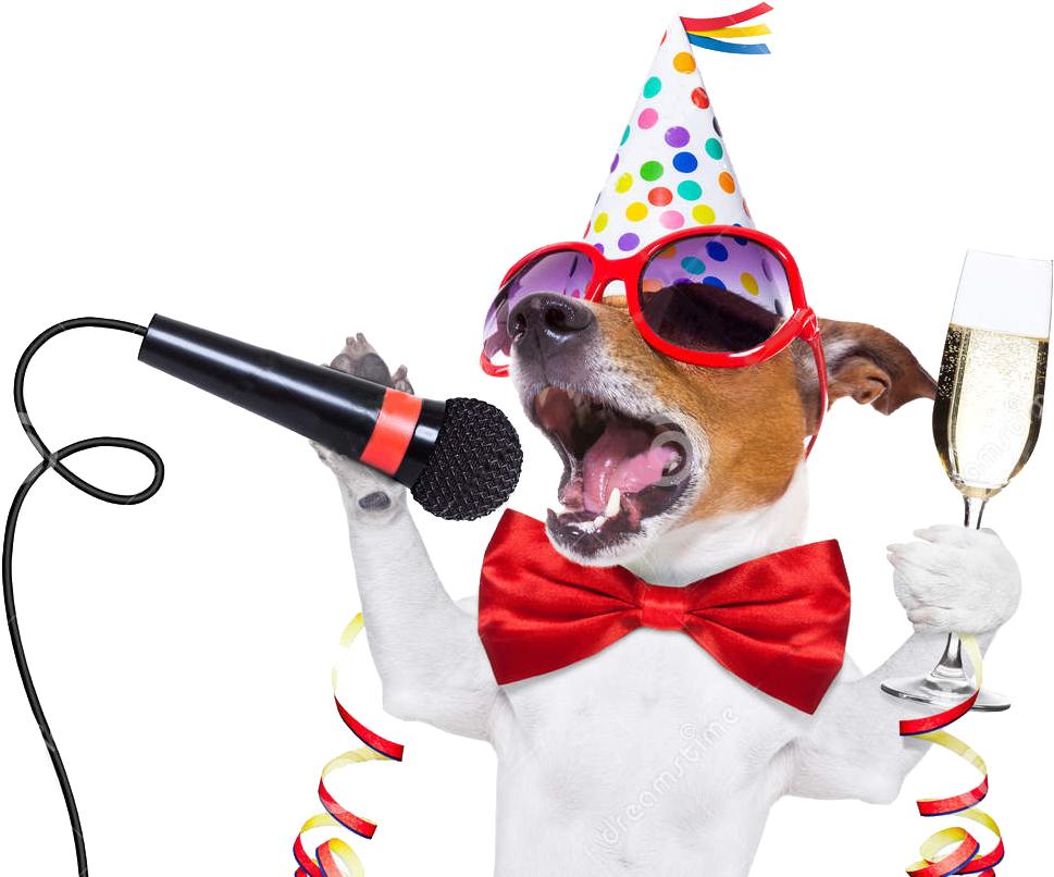 Download HD Nye Dog Party Copy - Happy Birthday Dog Jack Russell ...