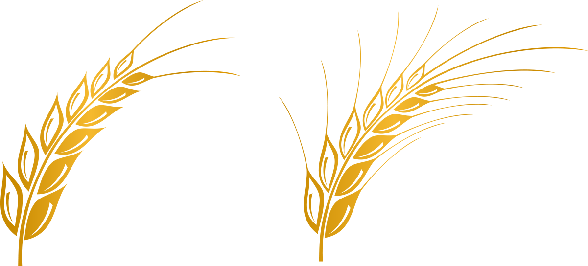 Download Wheat Vector Free - Wheat Vector Png - HD Transparent PNG ...