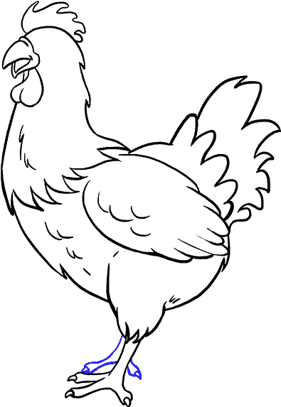 Download How To Draw Chicken - Drawing - HD Transparent PNG - NicePNG.com