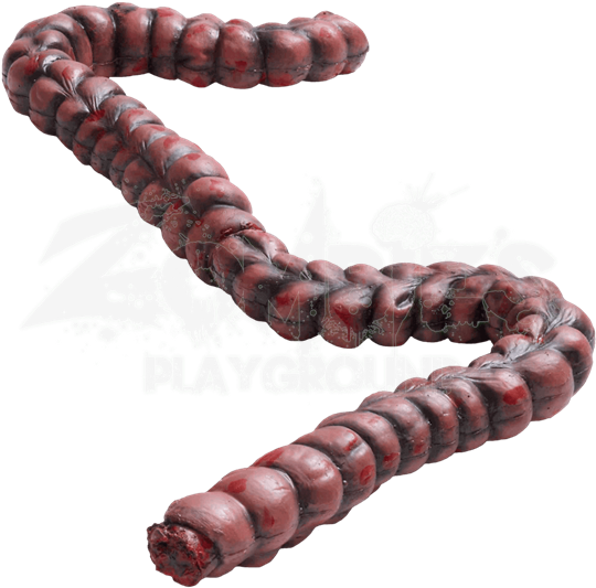 Download HD Bloody Zombie Intestines Transparent PNG Image - NicePNG.com