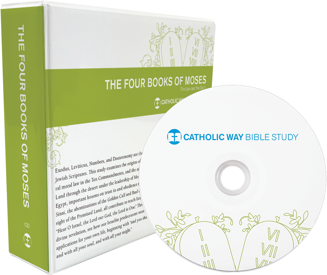 Download HD Bible Transparent PNG Image - NicePNG.com