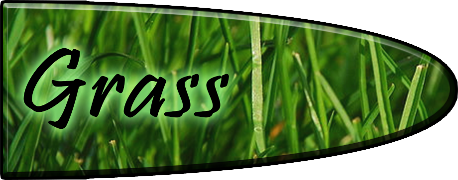 Download Grass-type - Television Show - HD Transparent PNG - NicePNG.com