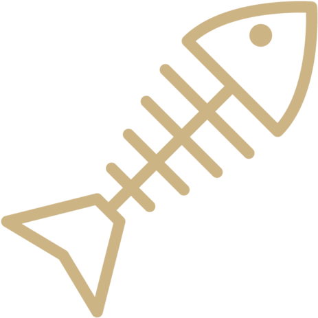 Download Icon Fish Bone - Icon - HD Transparent PNG - NicePNG.com