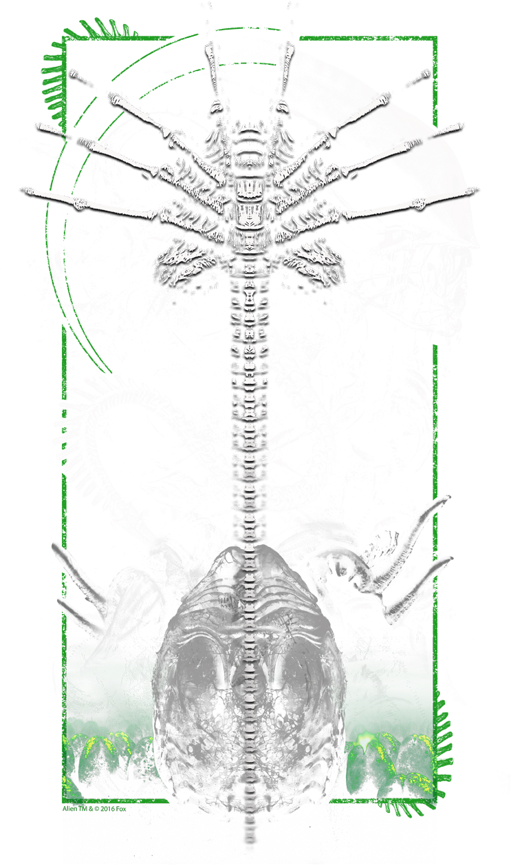 Download HD Alien Facehugger Men's Tall Fit T-shirt - Sketch ...