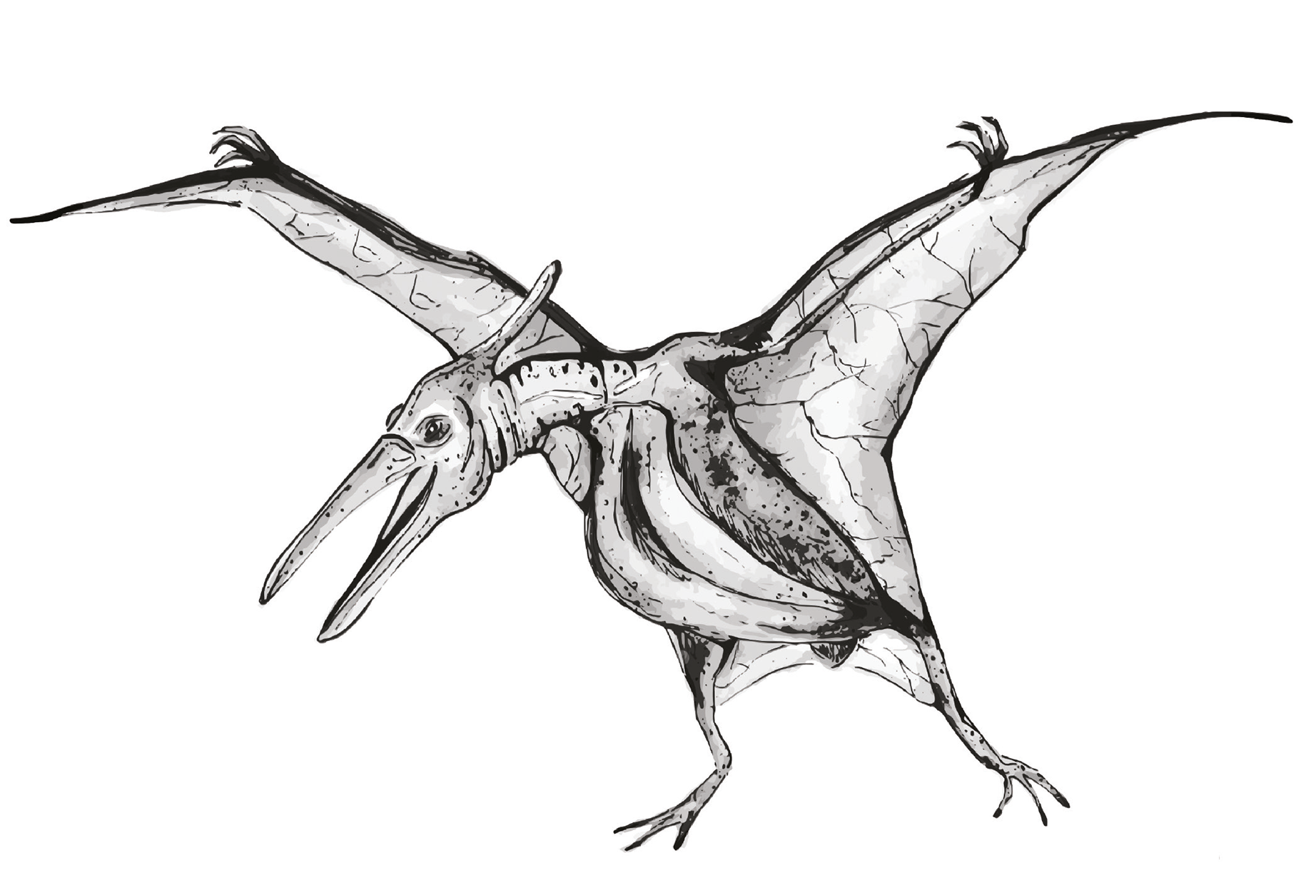 Download Indominus Rex - Sketch - HD Transparent PNG - NicePNG.com