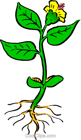 Download Plant With Roots Royalty Free Vector Clip Art Illustration ...