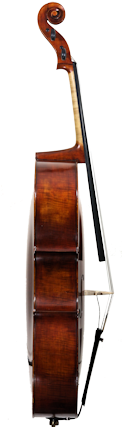 Download HD Cello Side Transparent PNG Image - NicePNG.com
