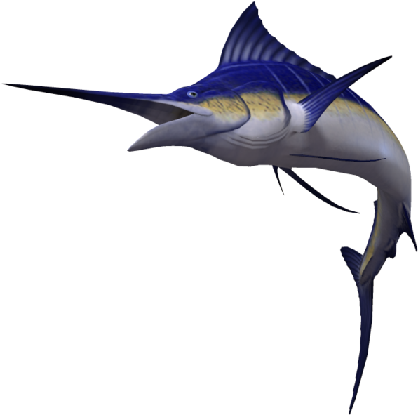 Download HD Marlin Png Transparent PNG Image - NicePNG.com