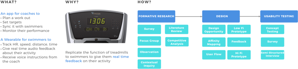Download HD Marlin Process Transparent PNG Image - NicePNG.com