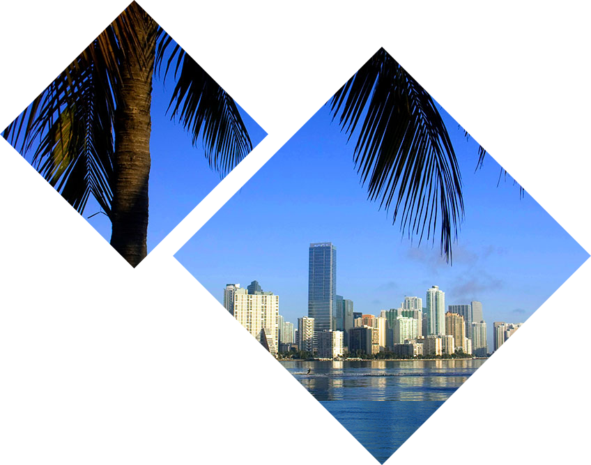 Download HD Visit Nmi City - Miami Transparent PNG Image - NicePNG.com