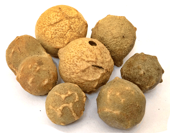 Download HD Manjakani Manjakani Pure Powder Rainforest Herbs ...