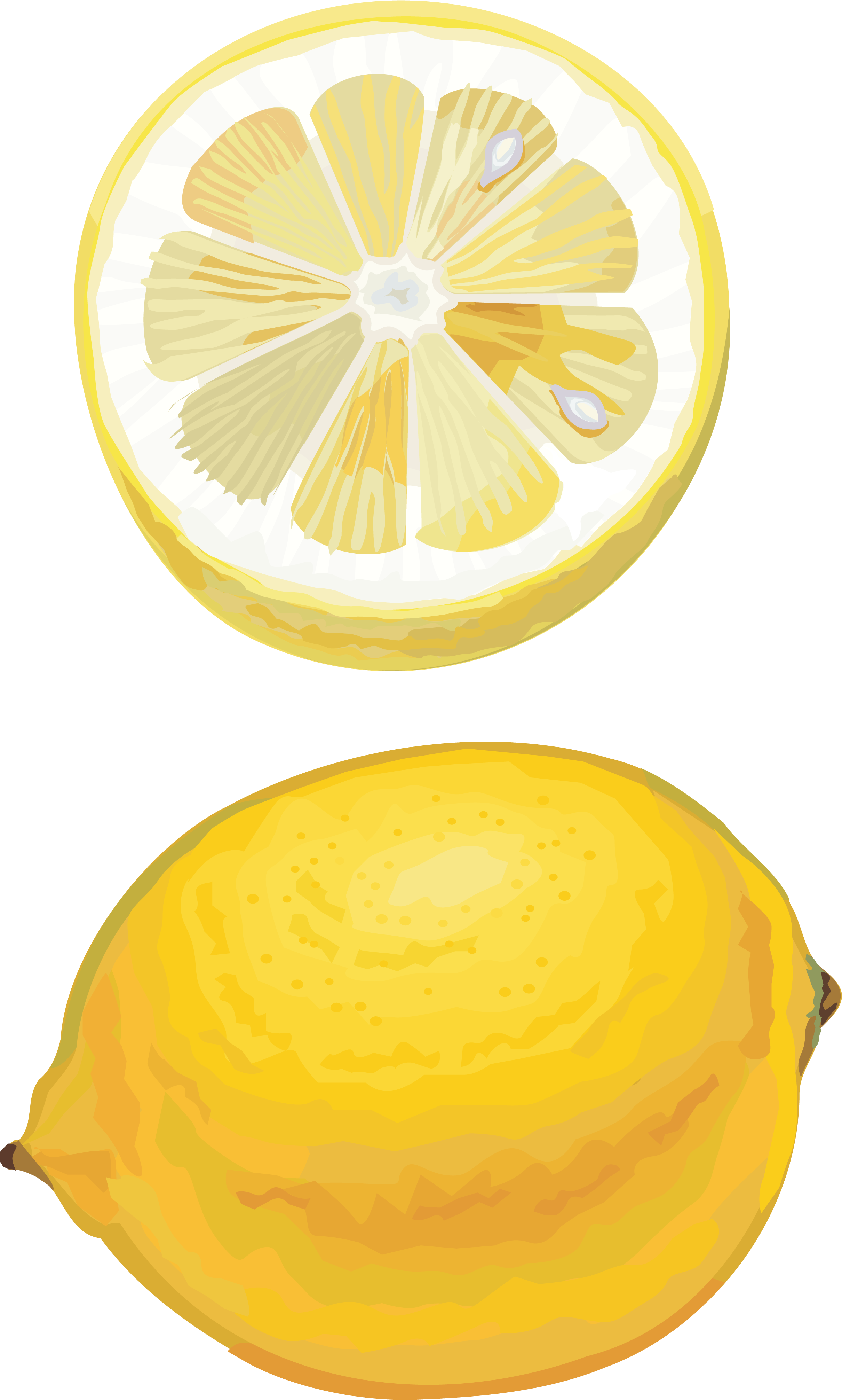 Download Lemon Drawing Transparent - HD Transparent PNG - NicePNG.com