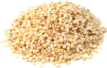 Download Sesame Seeds Png Hd - Sesame Seeds Transparent Background - HD ...